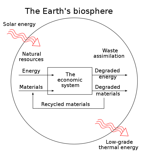 Biophysical Analysis | Global Carbon Reward